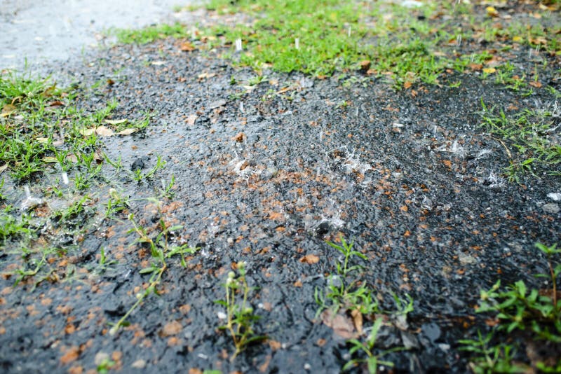 Raindrops on the Ground at Home Stock Photo - Image of rainy, fall ...