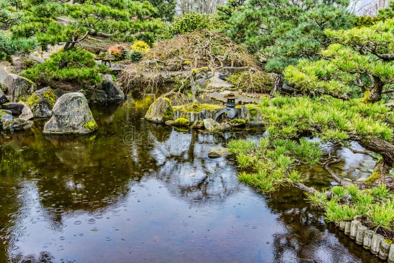 Rain on Small Pond 4 stock image. Image of state, details - 244991753