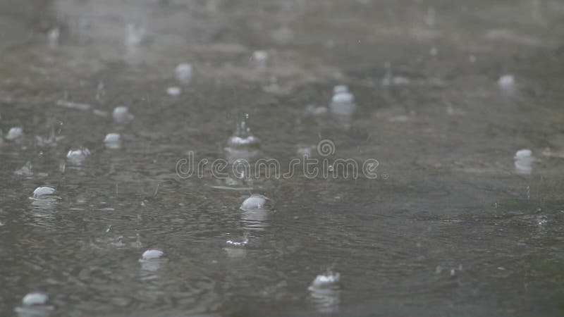 Raindrops Make Small Bubbles in Puddles, Waves on the Water Surface ...