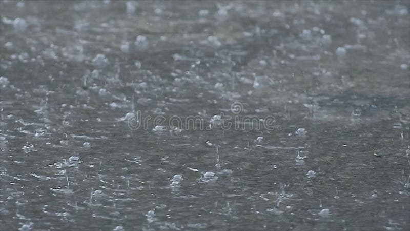 Raindrops Make Small Bubbles in Puddles, Waves on the Water Surface ...