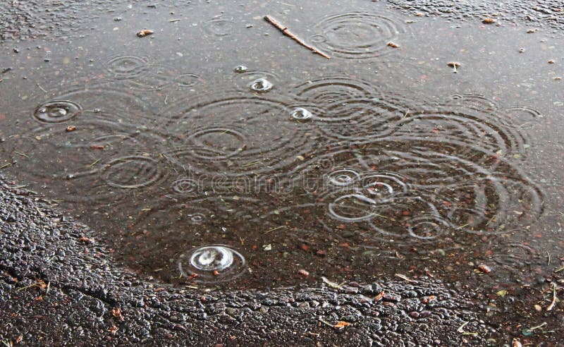 Raindrops Making Rings in a Puddle Stock Photo - Image of puddle, rings ...