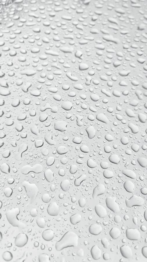 Raindrops on the 200 Micron PE Plastic Roof of the Farm. Stock Image ...