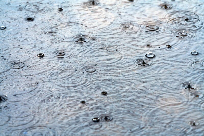 Raindrops on puddle stock photo. Image of rain, outdoors - 33700780