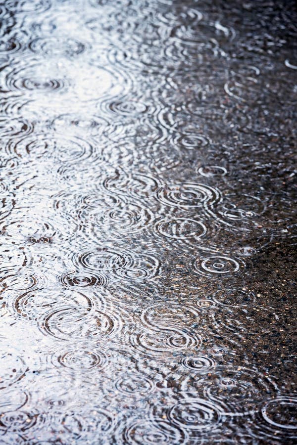 Raindrops on puddle stock photo. Image of rain, outdoors - 33700780