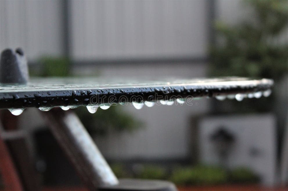 Raindrops stock photo. Image of white, wood, light, leaf - 286586852