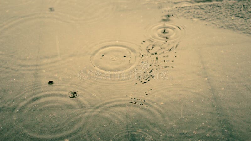 Raindrops in a Small Puddle Located on the Side of the Road Stock Photo ...