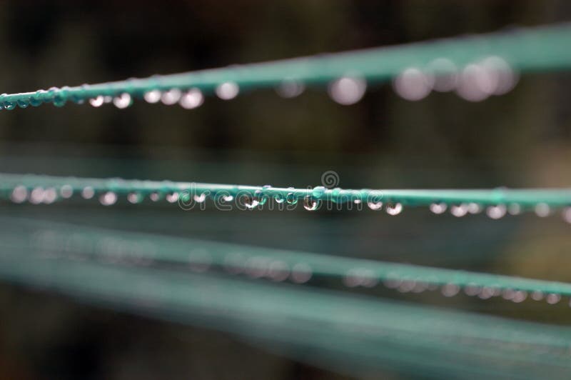 Raindrops Free Stock Photos & Pictures, Raindrops Royalty-Free and ...