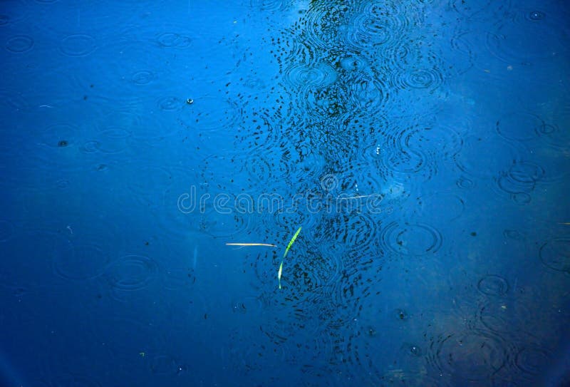 Raindrops on the water stock image. Image of lake, blue - 12737113