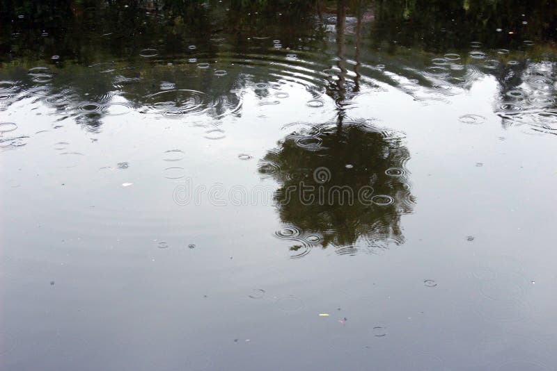 Raindrops on a Water Surface Stock Image - Image of season, fall: 58107599