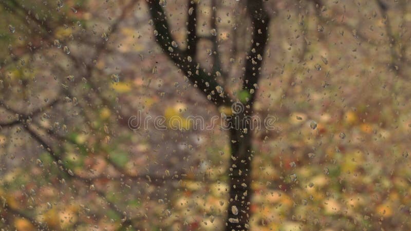 Raindrops on the Window Pane Behind Which is an Autumn Landscape. Cold ...