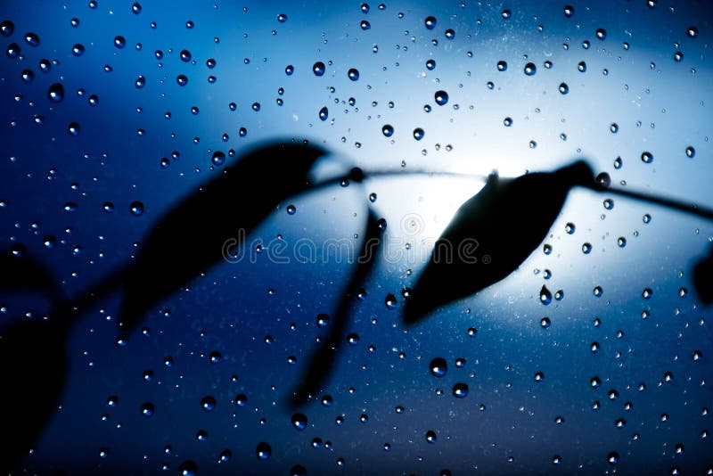 Raindrops on the Window Pane Slowly Flowing Down 21 Stock Image - Image ...