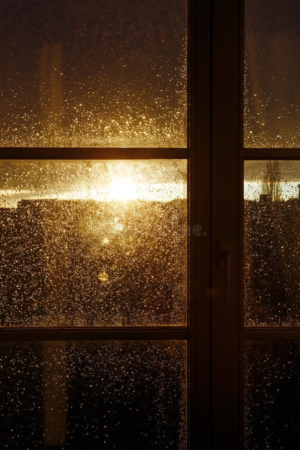 Raindrops on window pane stock photo. Image of orange - 205466038