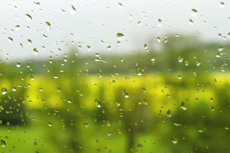 Raindrops on a window stock photo. Image of color, natural - 208040462