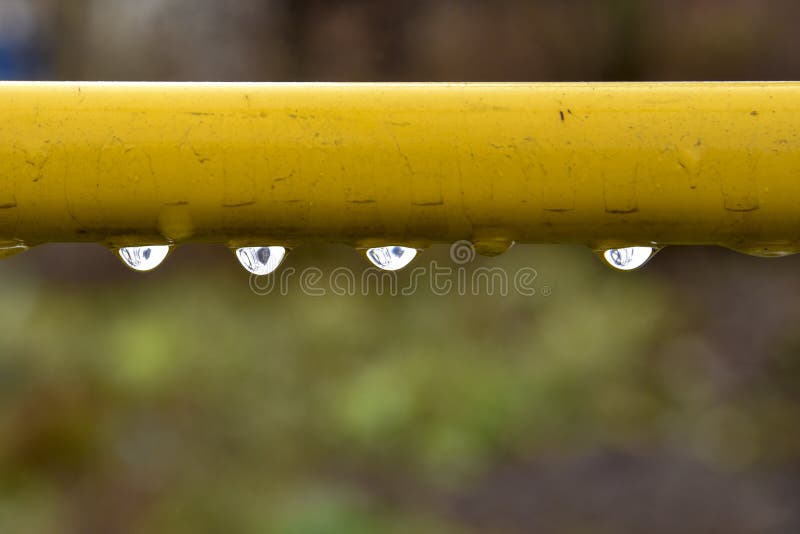 Raindrops on Yellow Pipe Rain, Drop Rain Stock Image - Image of food ...