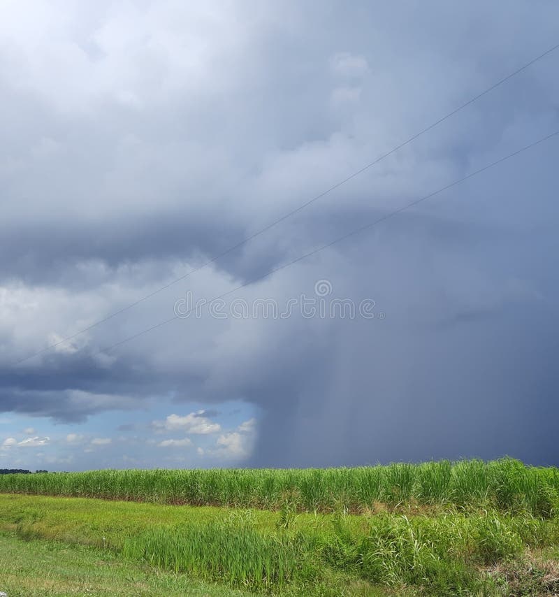 Rainfall clouds rain stock photo. Image of thunder, cloud - 235404770