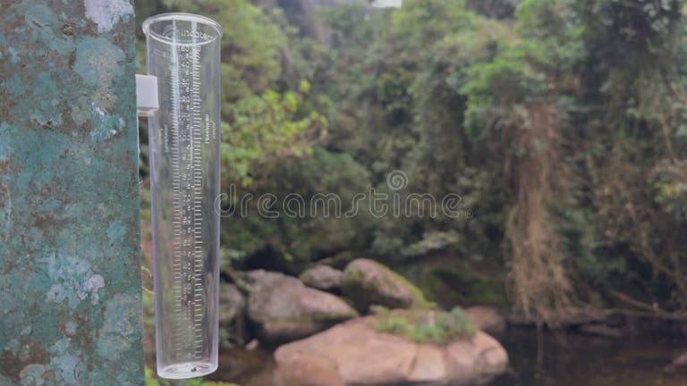 A Rainfall Collection Device Placed in a Dense Jungle Background Stock ...