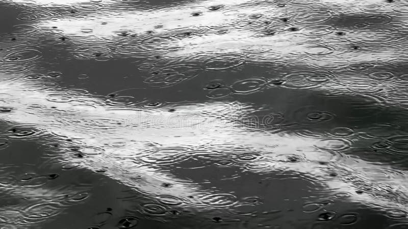 Rainfall on Ocean Surface Waves and Currents. Observing the Interaction ...