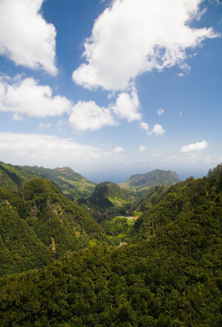 253 Rainforest Madeira National Park Stock Photos - Free & Royalty-Free ...