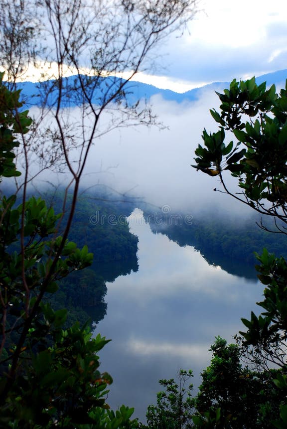 Rainforest stock image. Image of calm, river, landscape - 4255809