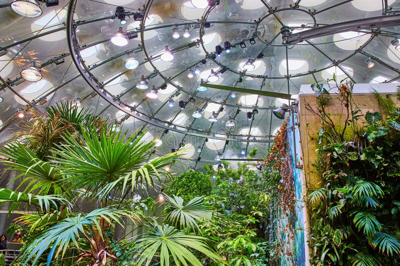 Rainforest Biome Top of Trees with Wall Covered in Plants and Dome ...