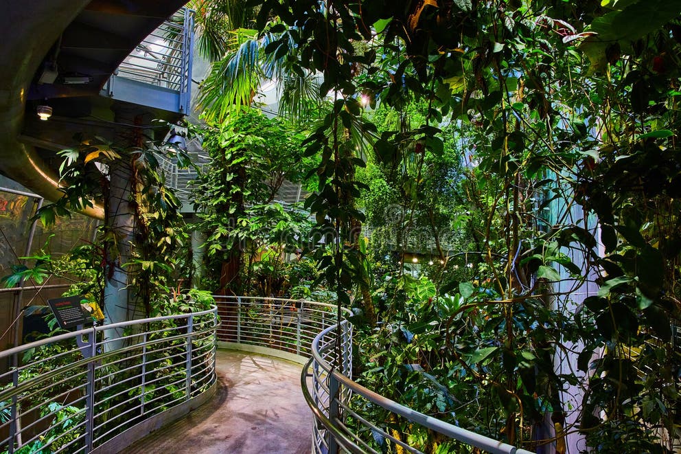 Rainforest Biome with Waterfall through Hanging Vines and Winding ...