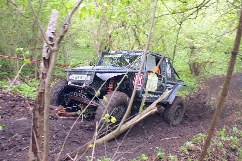 RainForest Challenge editorial stock photo. Image of competition - 92111903