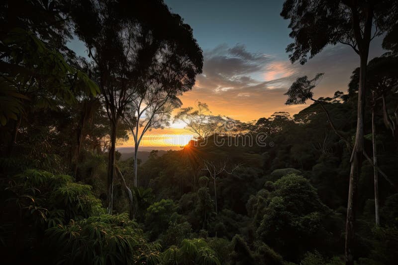 Rainforest at Dusk, with the Sun Setting Over the Horizon Stock ...