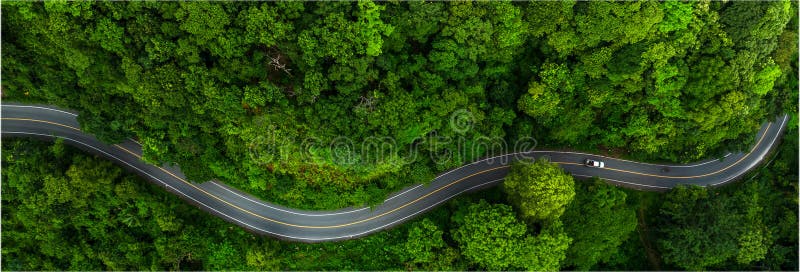 Rainforest Ecosystem and Healthy Environment Concept , Road in the ...