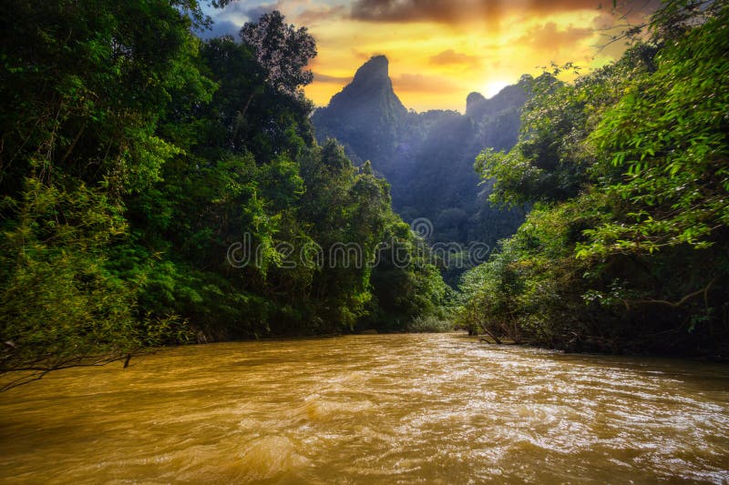 4,704 Beautiful Khao Sok National Park Stock Photos - Free & Royalty ...