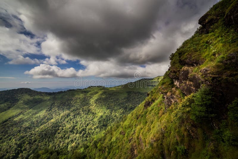 Rainforest and mountains stock photo. Image of flowing - 56917908
