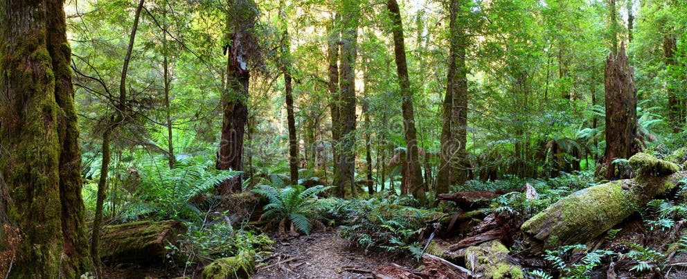 1,627 Myrtle Trees Stock Photos - Free & Royalty-Free Stock Photos from ...