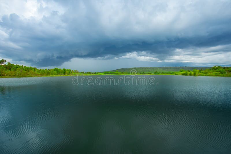 Rainforest, Reflection, Riverbank, Tree Area, Tropical Climate Stock ...