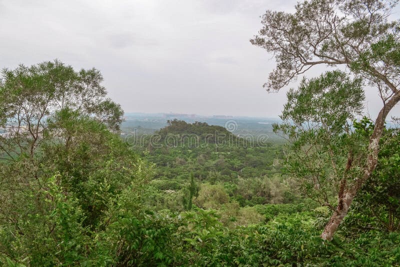 Rainforest Sanya China. Jungle and Stone Structures. Stock Photo ...