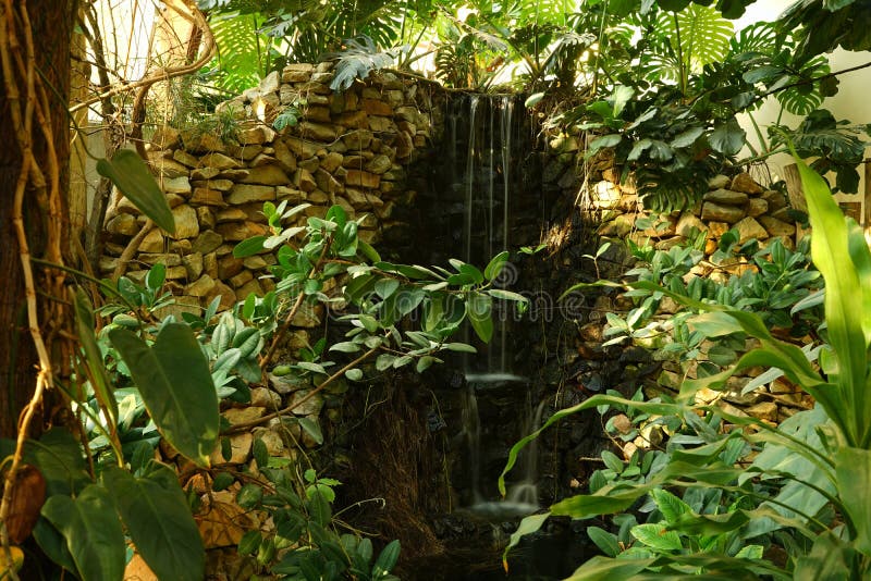 Rainforest small waterfall stock image. Image of local - 163045471