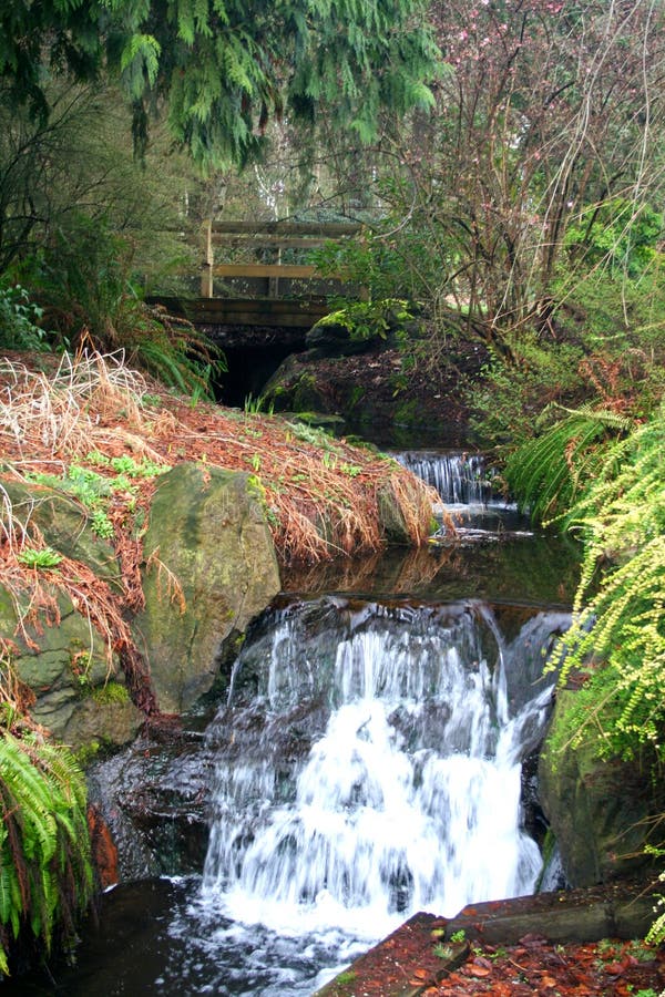 Rainforest Stream Picture. Image: 2183377