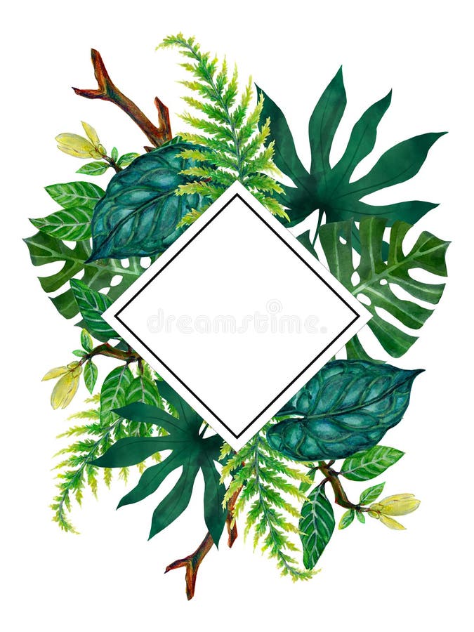 Rainforest Tree Branch Label Border Banner Stock Illustration Stock ...