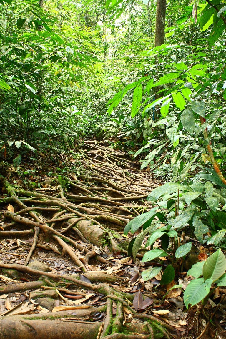 864 Long Angle Growth Stock Photos - Free & Royalty-Free Stock Photos ...