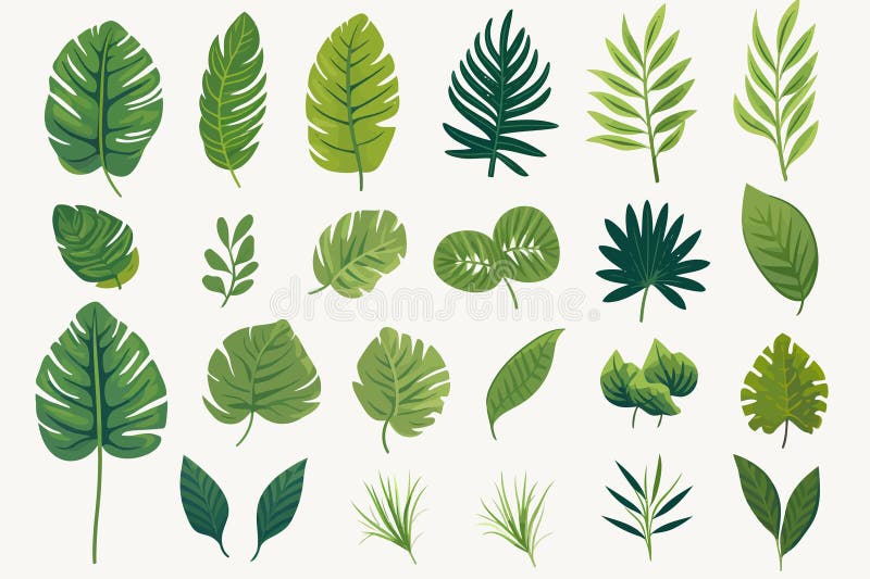Rainforest Vegetation Set Vector Flat Isolated Vector Style ...