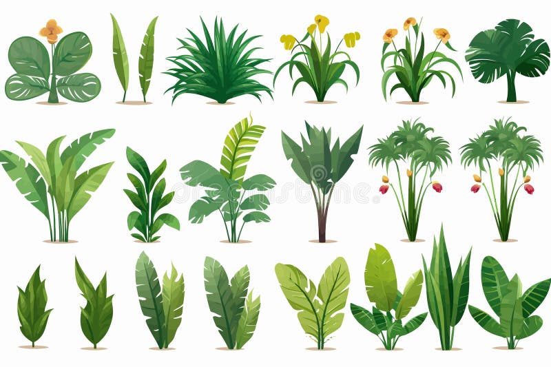 Rainforest Vegetation Set Vector Flat Isolated Vector Style ...