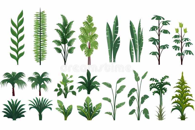 Rainforest Vegetation Set Vector Flat Isolated Vector Style ...
