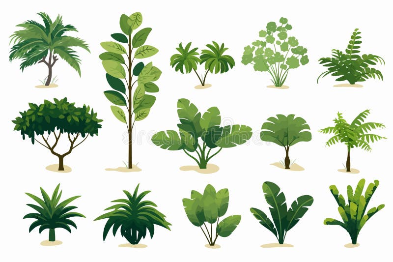 Rainforest Vegetation Set Vector Flat Isolated Vector Style ...