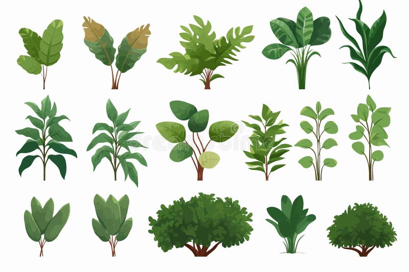 Rainforest Vegetation Set Vector Flat Isolated Vector Style ...