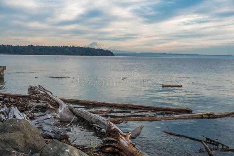 Rainier from Three Tree Point 4 Stock Image - Image of washington, peak ...