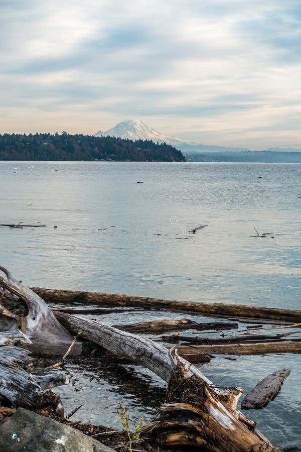 Rainier from Three Tree Point 3 Stock Image - Image of nature, state ...