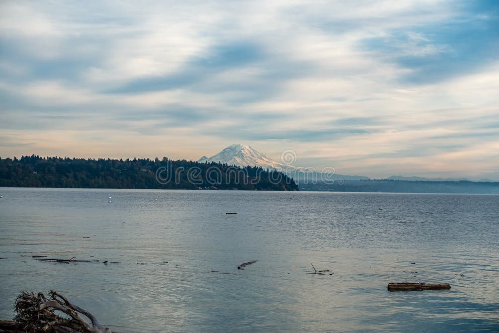 Rainier from Three Tree Point Stock Photo - Image of northwest ...