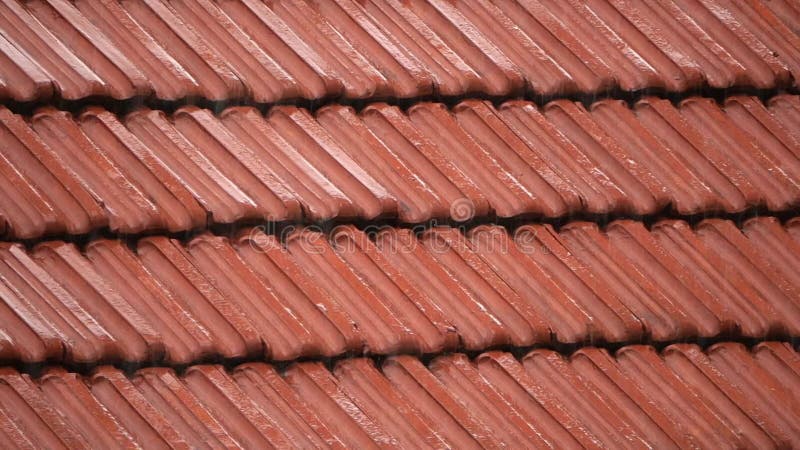 Raining on a brick roof stock video. Video of area, brick - 256885393
