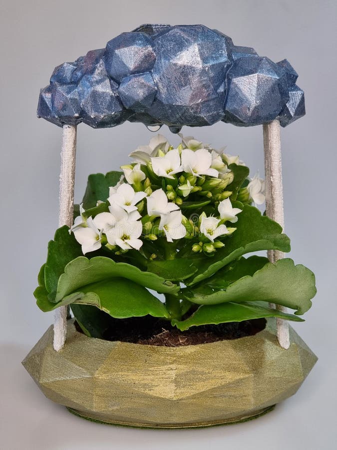 Raining Violets Stock Photos - Free & Royalty-Free Stock Photos from ...