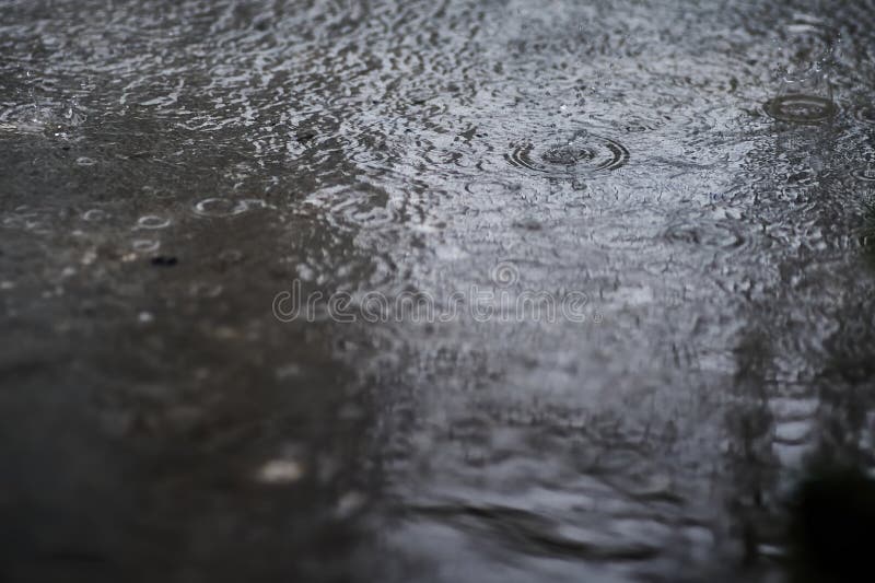 Raining on the Concrete Walk Way Full with Rain Droplets Splash Ring ...