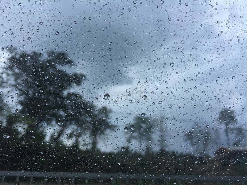 Raining day stock image. Image of raindrop, color, macro - 73154839