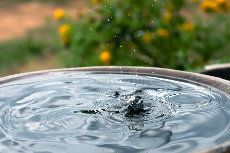 Raining Dripping on the Jar Stock Photo - Image of closeup, sink: 117032880